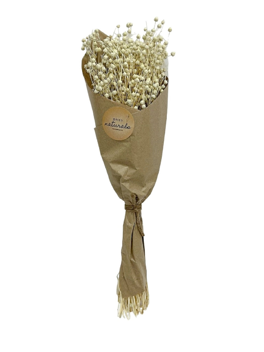 Teesi Grass in Craft Paper Wrap Bleach – Lily & Marigold Home + Design